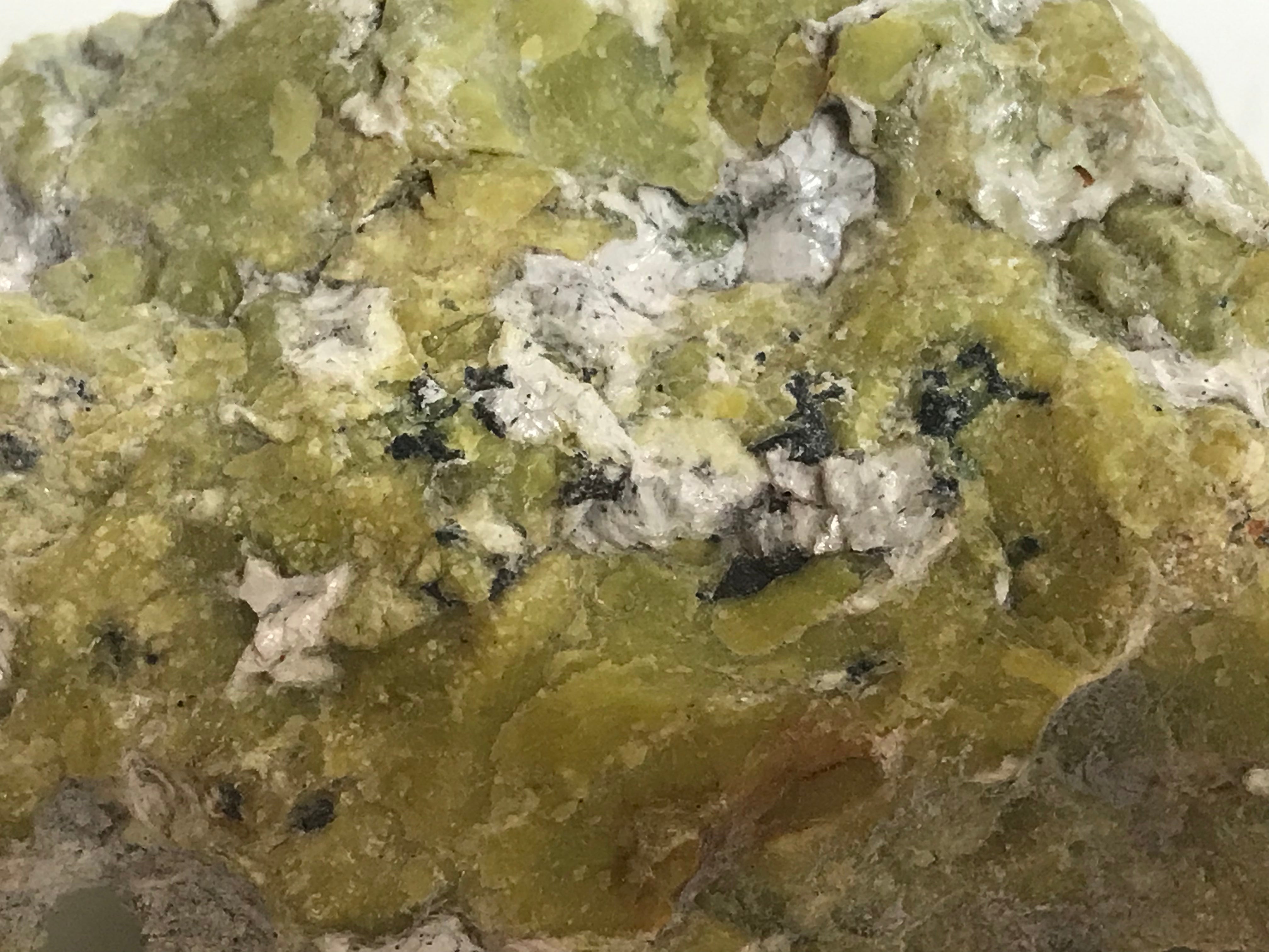 Lizardite – Crystal and fossils