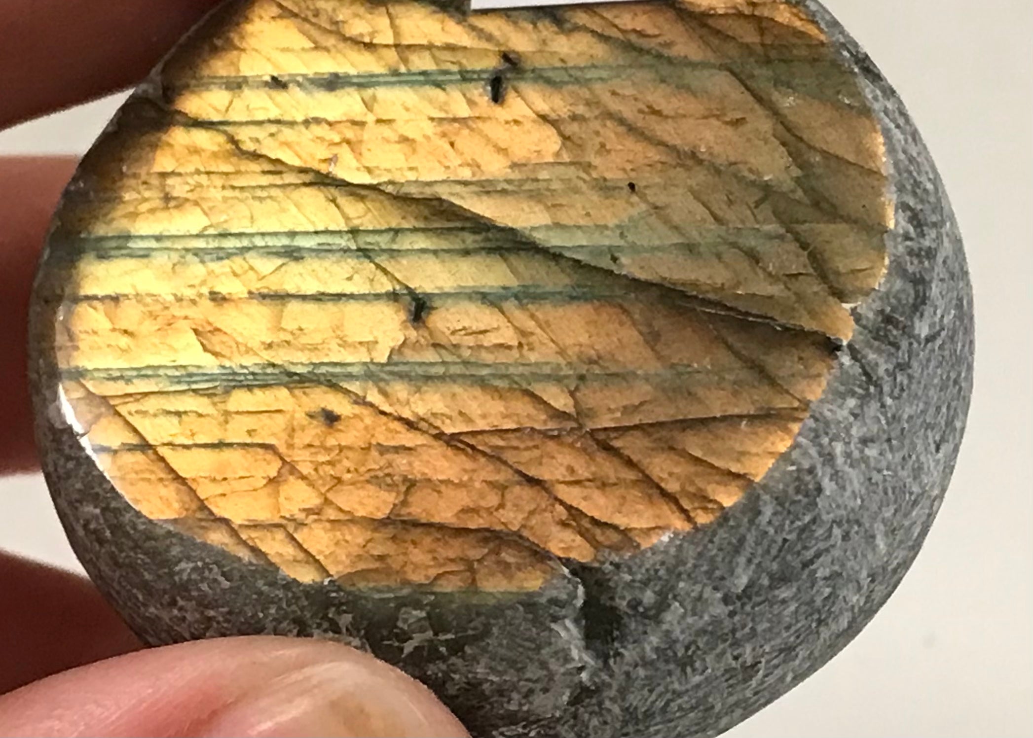 Labradorite – Crystal and fossils