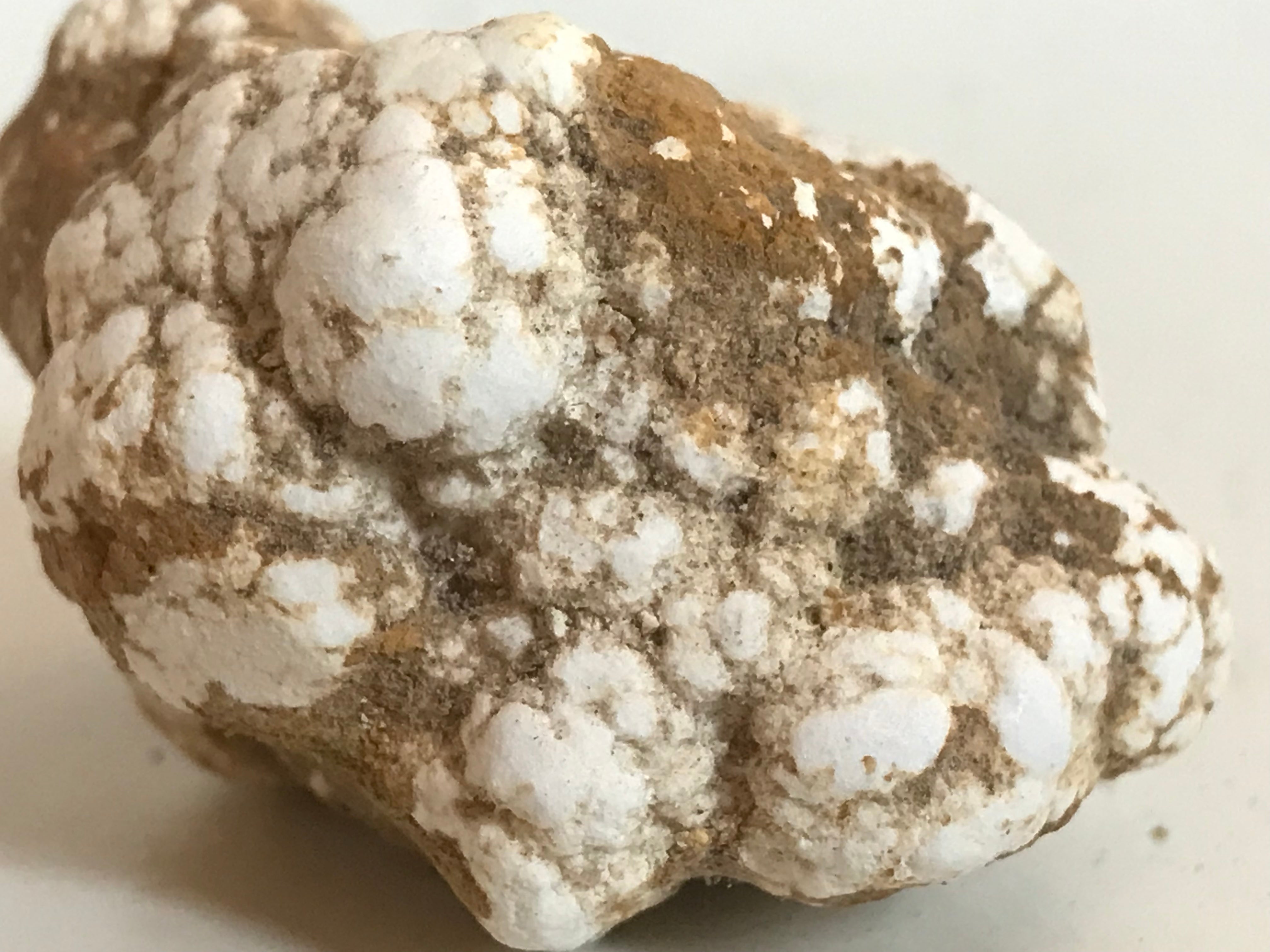 aluminite – Crystal and fossils
