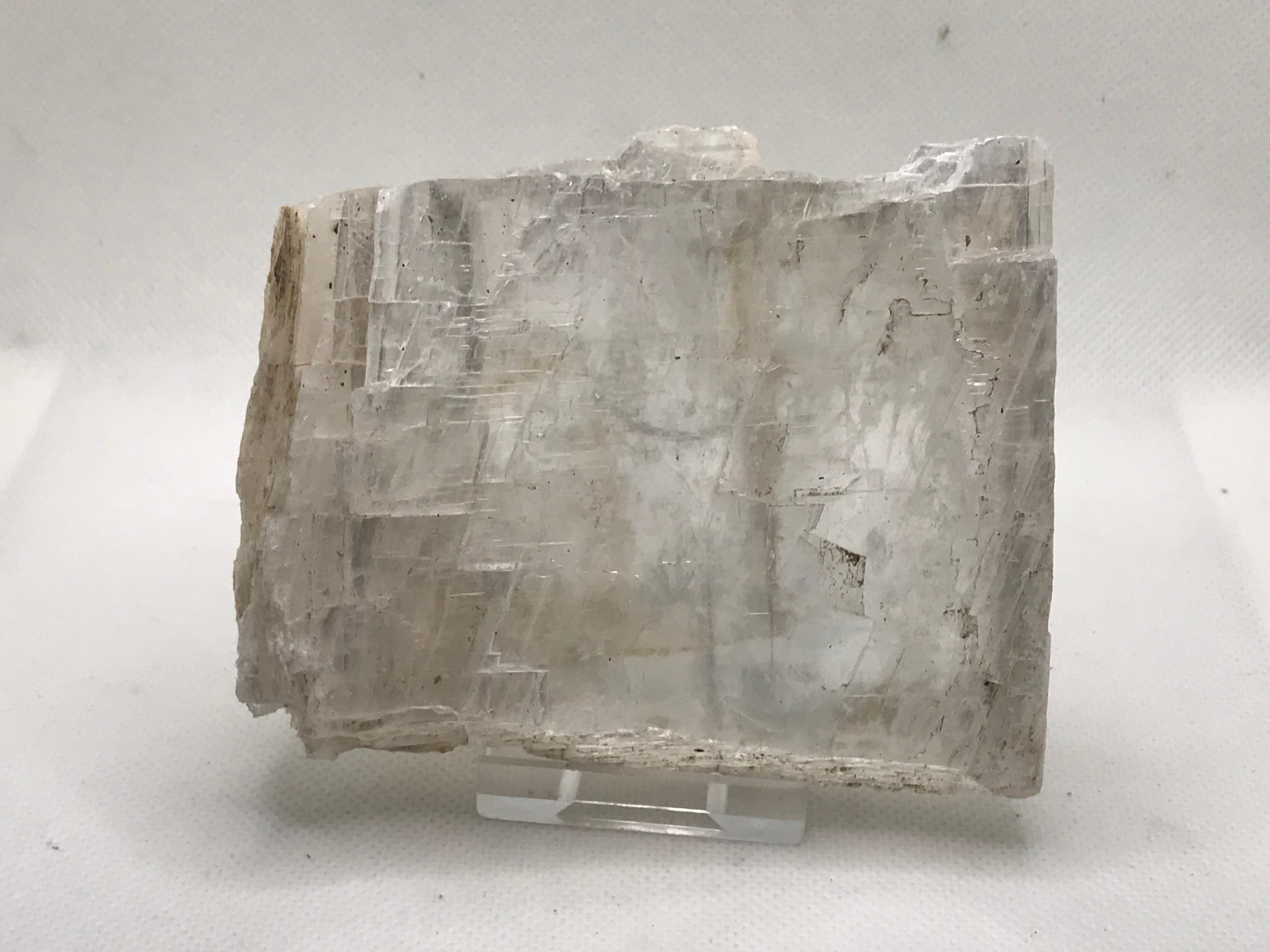 Selenite fish tail – Crystal and fossils