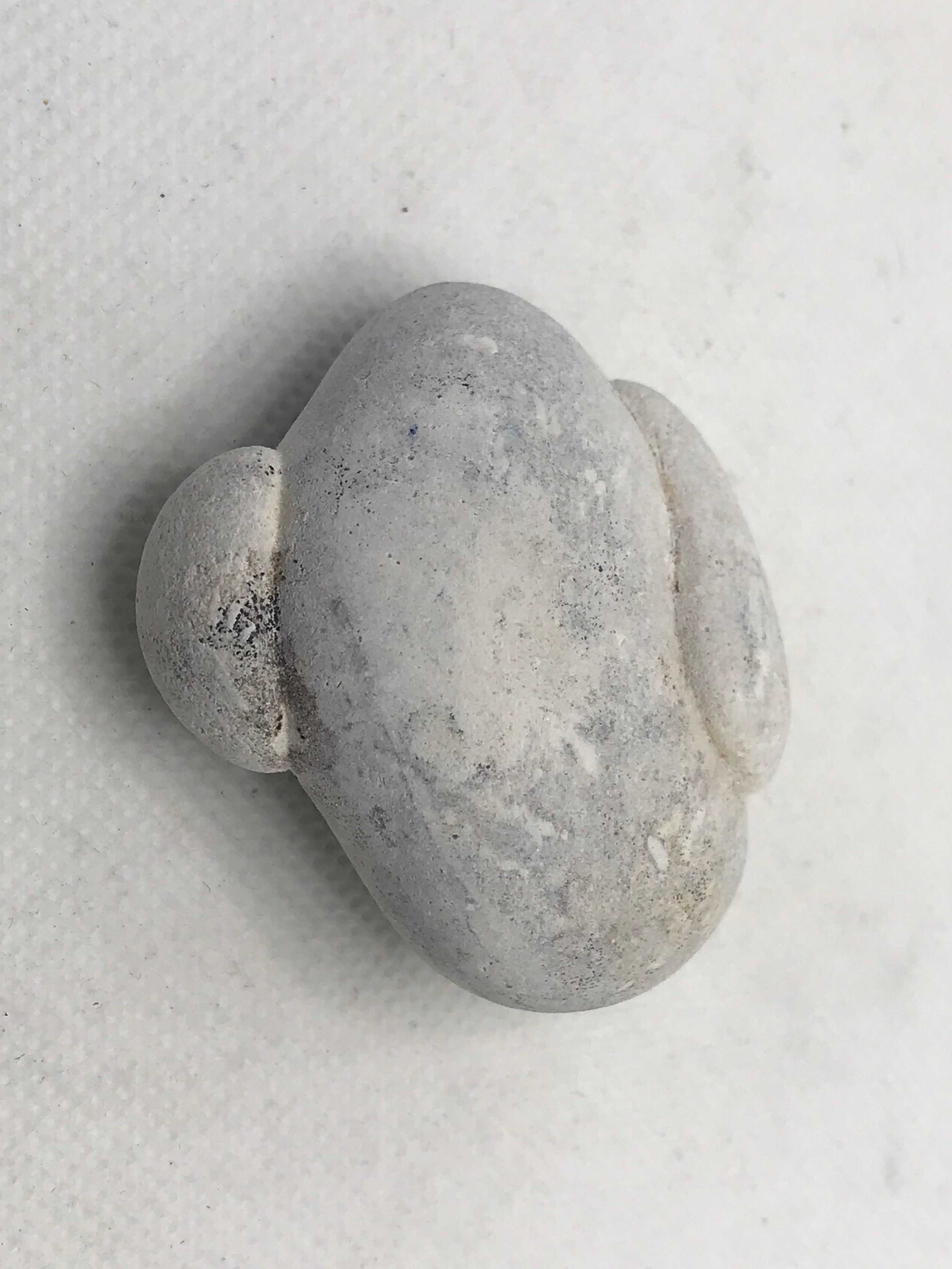 Menalite – Crystal and fossils