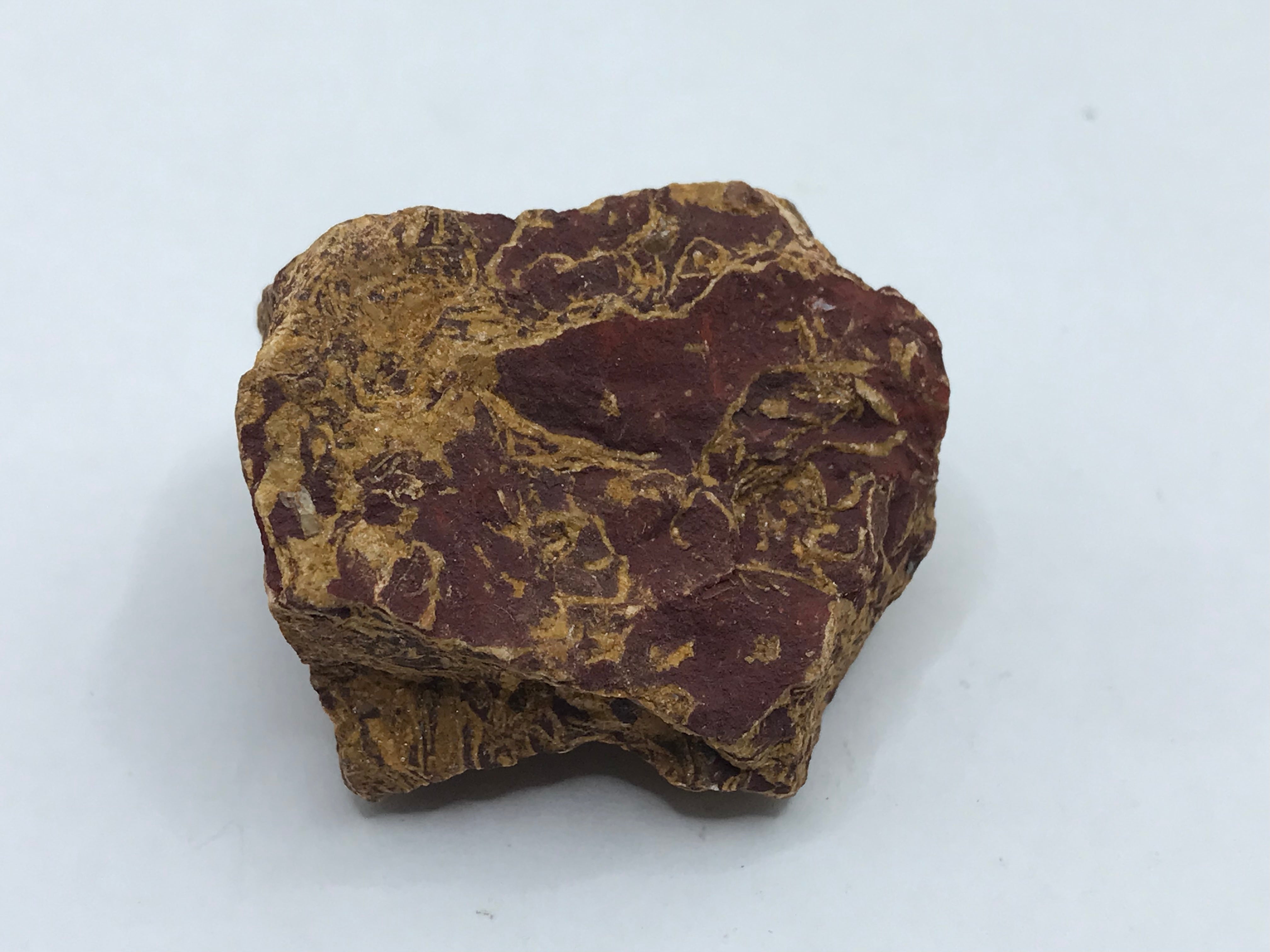 Fossil jasper – Crystal and fossils