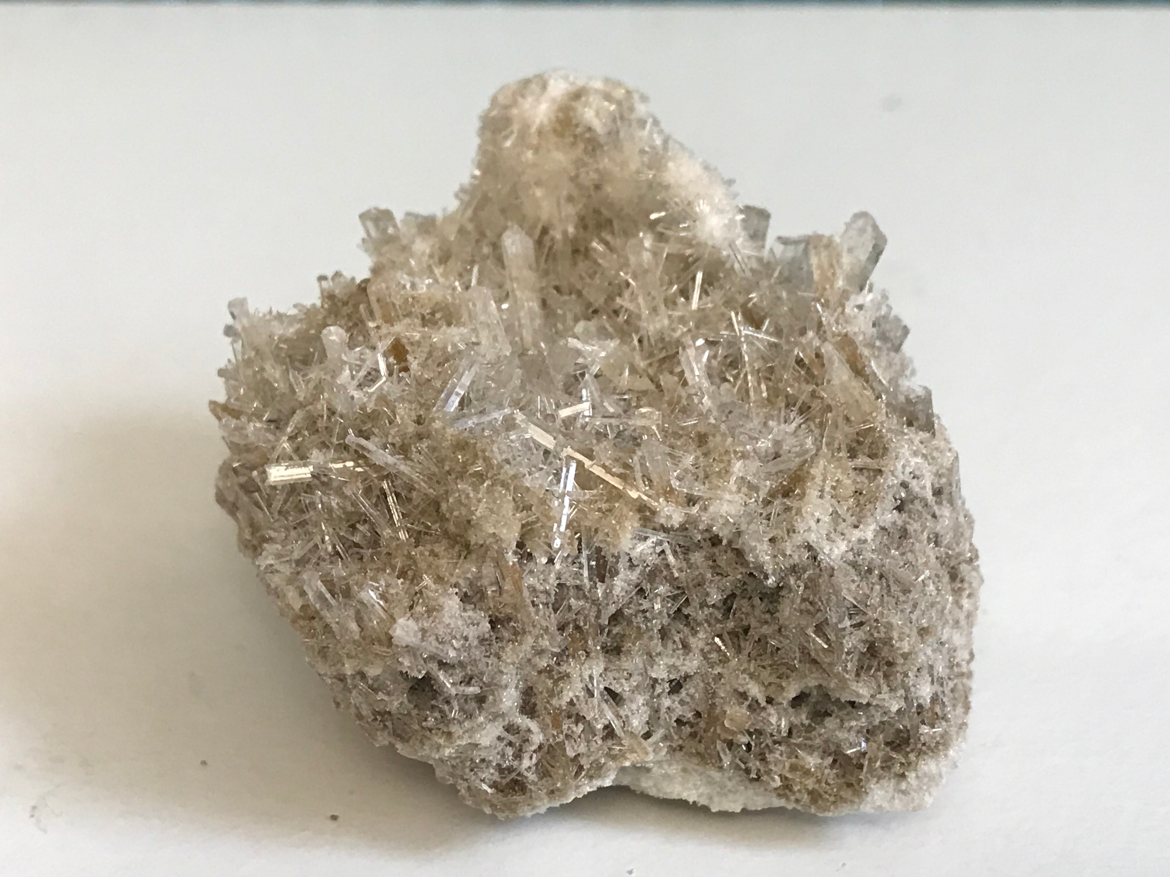 Gypsum – Crystal and fossils