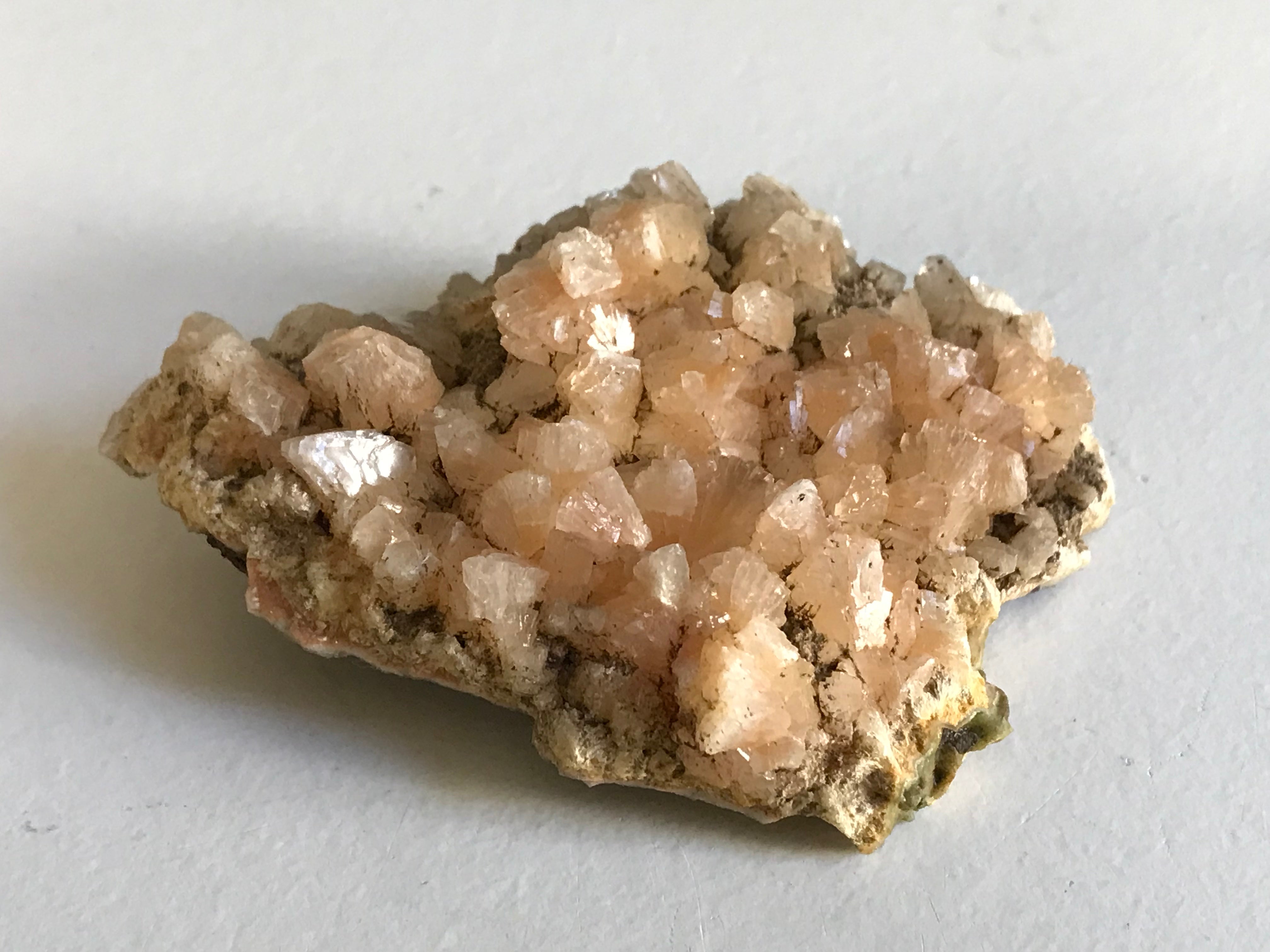 Stellarite – Crystal and fossils