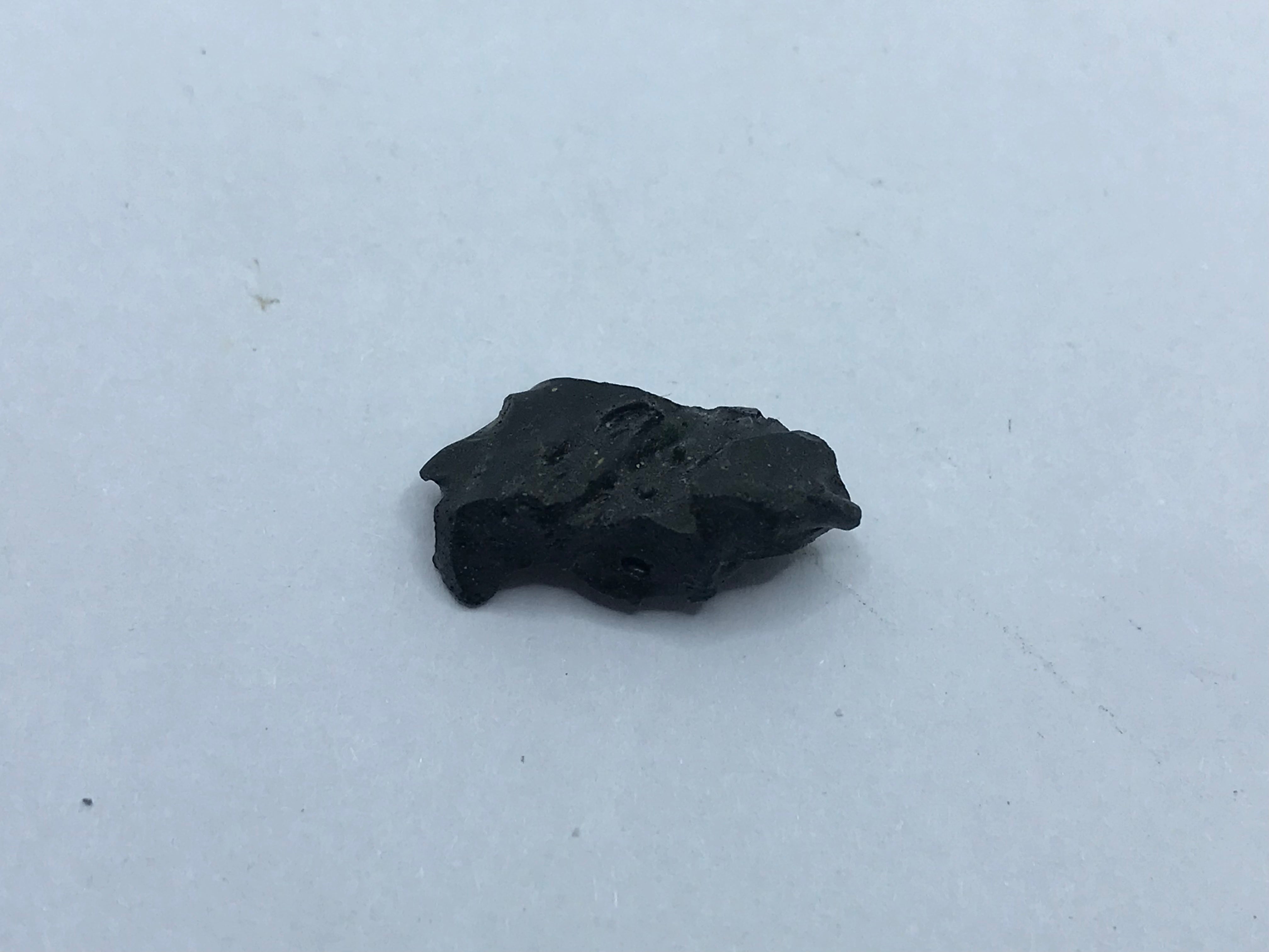 Impactite (irgizite) – Crystal and fossils