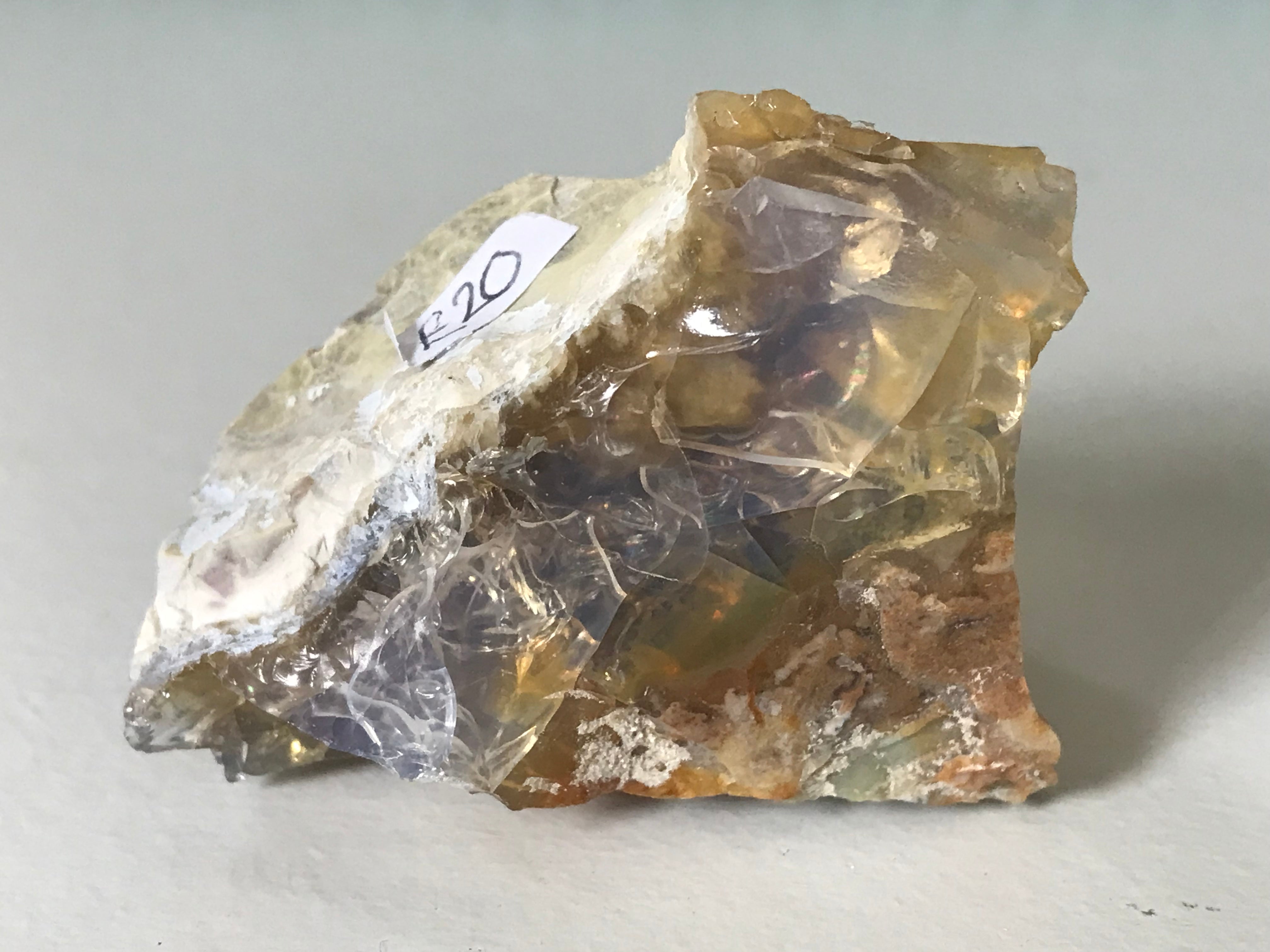 Butte opal – Crystal and fossils