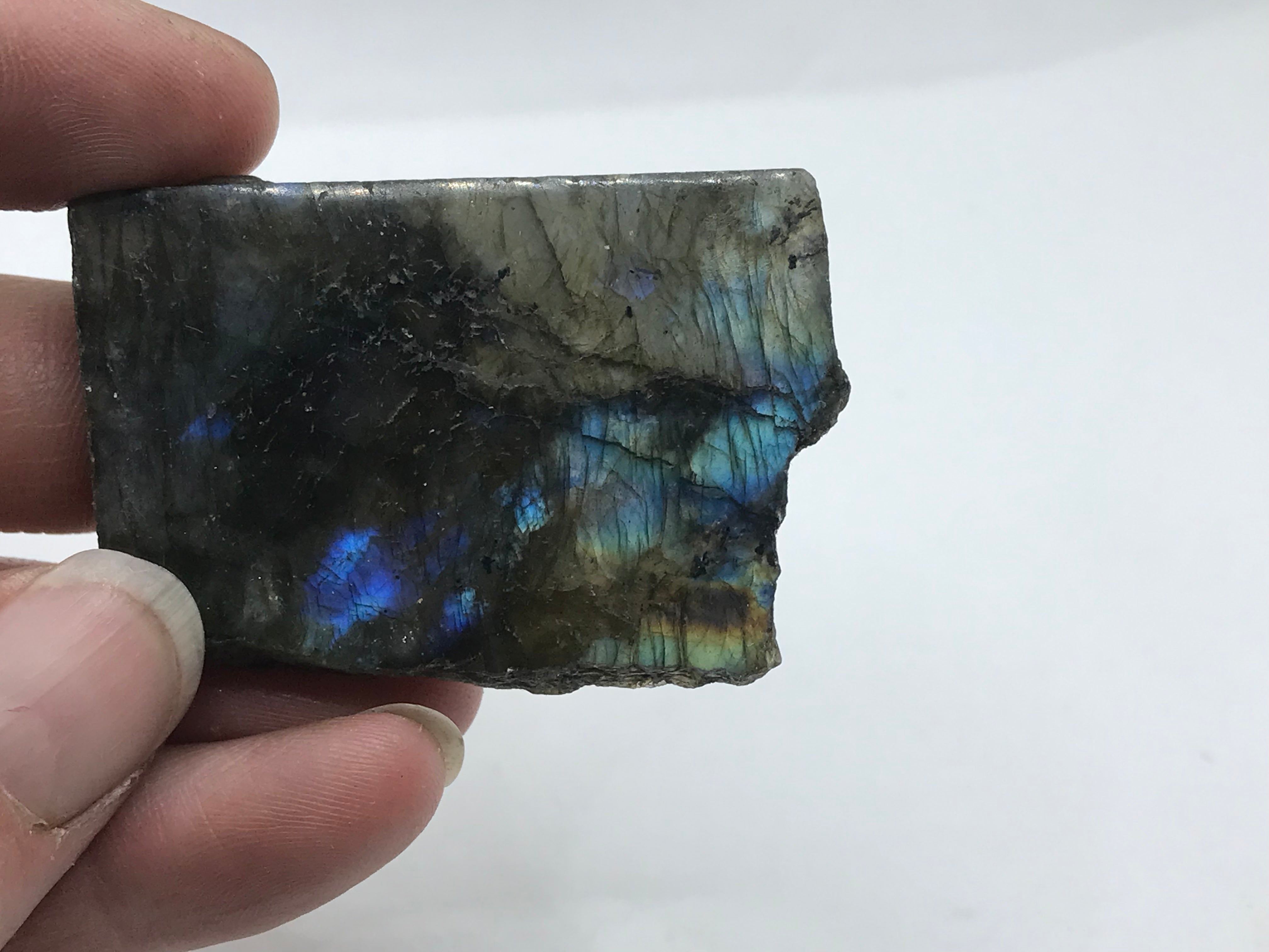Labradorite – Crystal and fossils