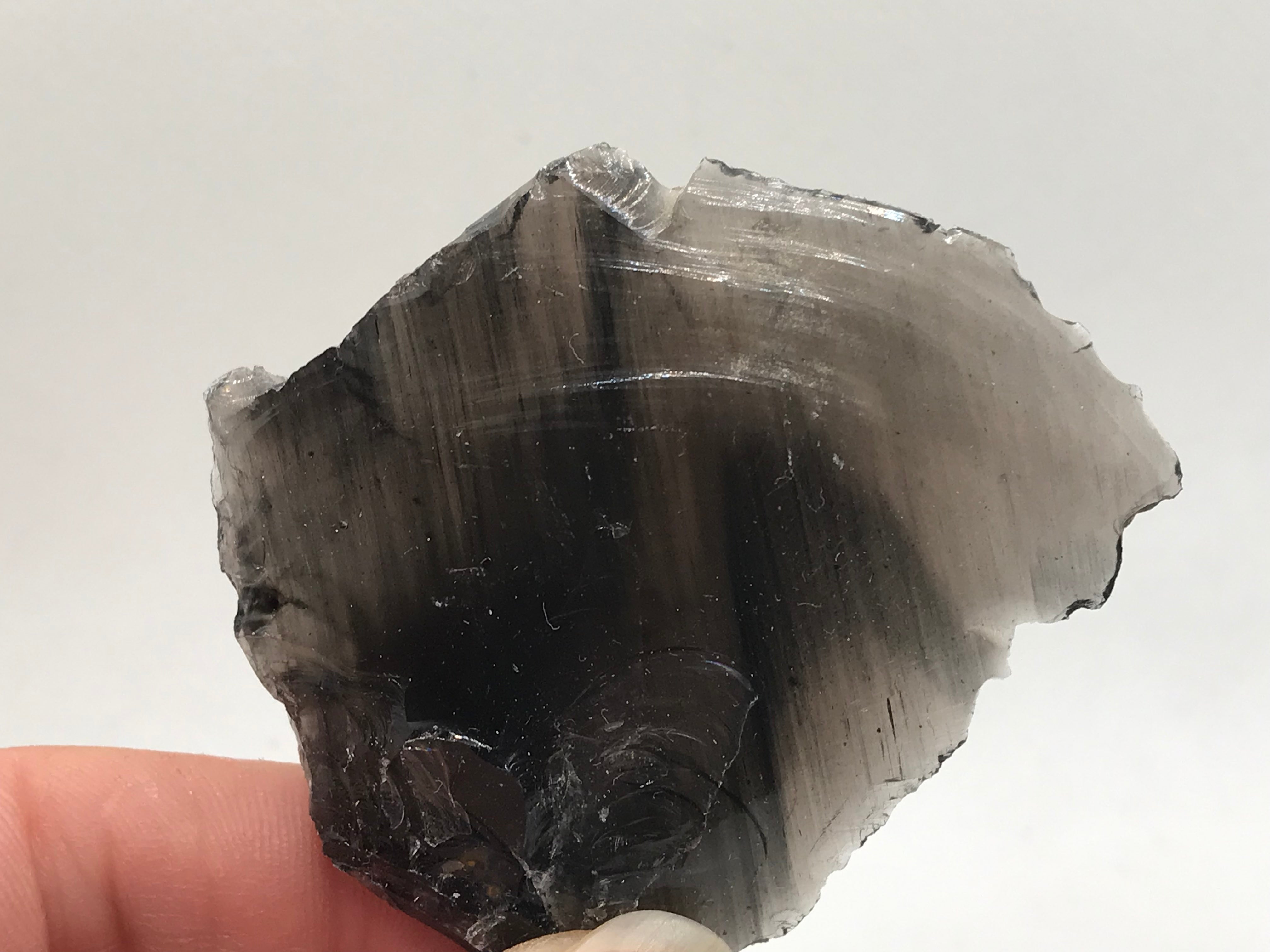 Smoky obsidian – Crystal and fossils
