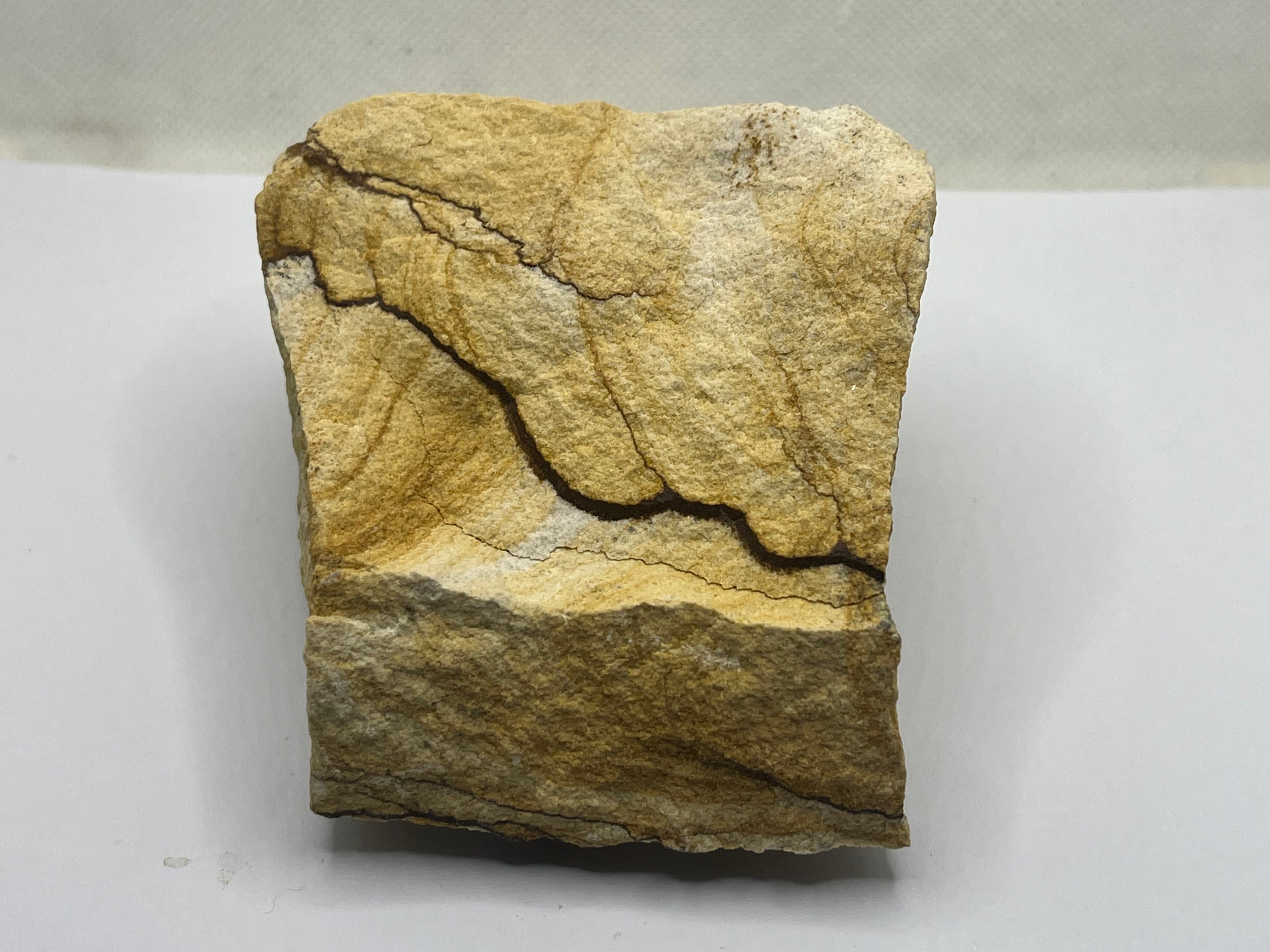 Picture Jasper – Crystal and fossils