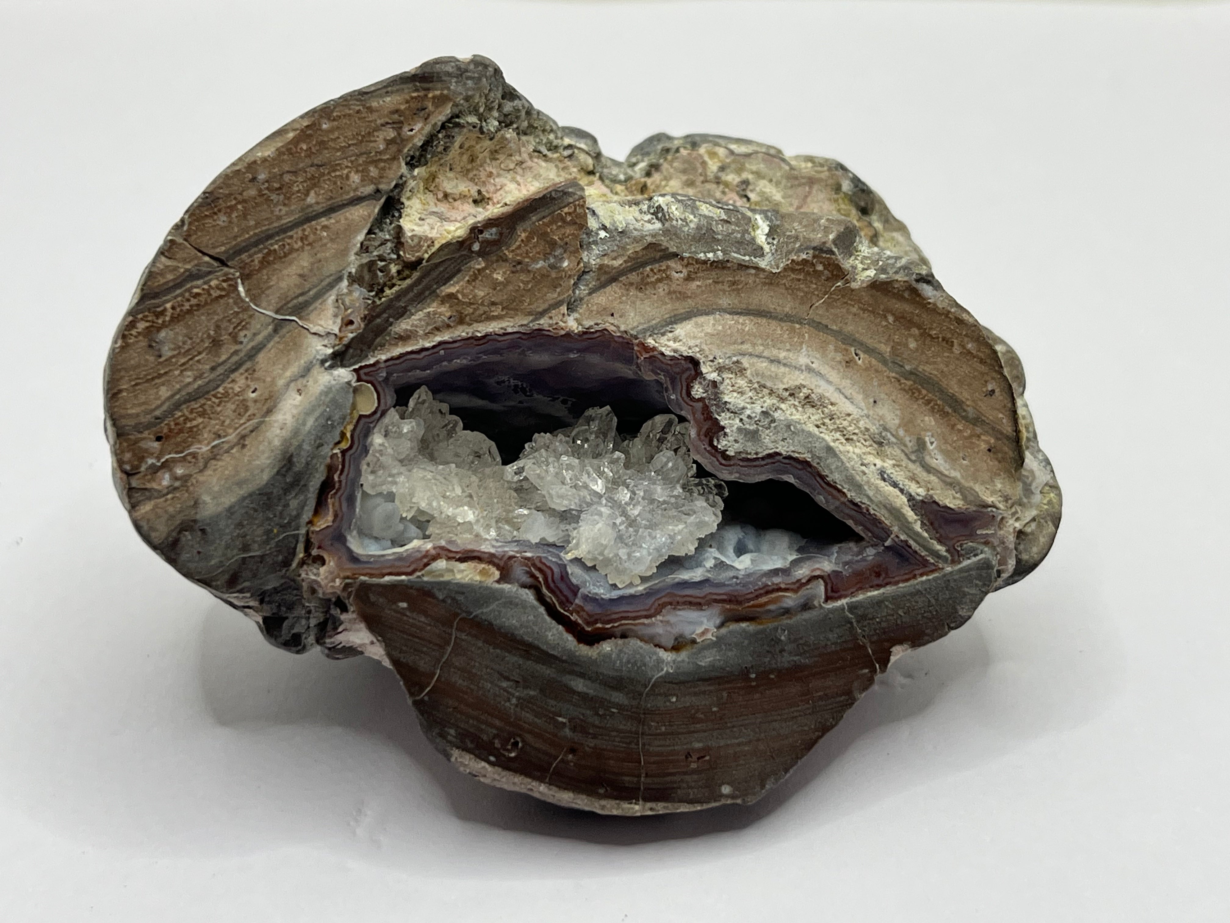 Thunder egg – Crystal and fossils