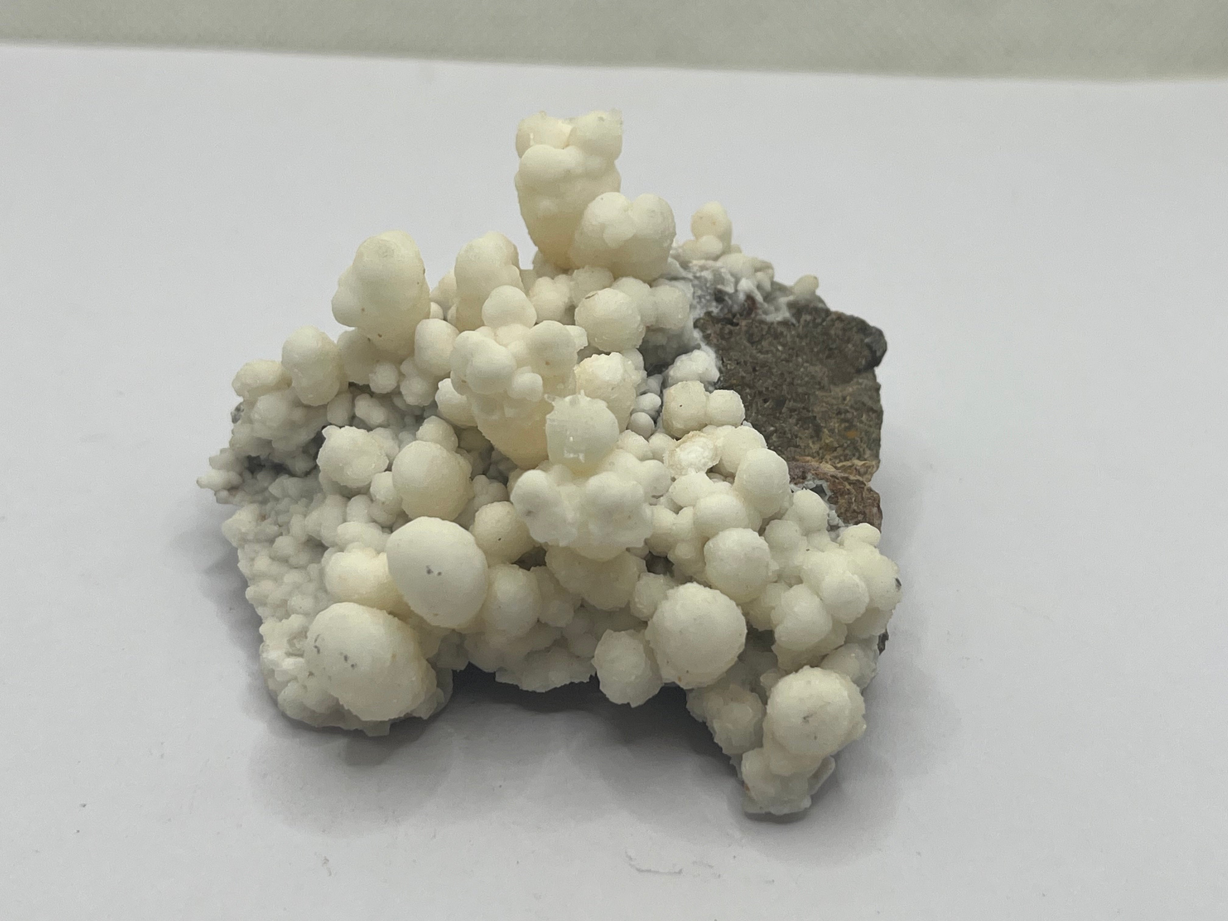Cave calcite – Crystal and fossils