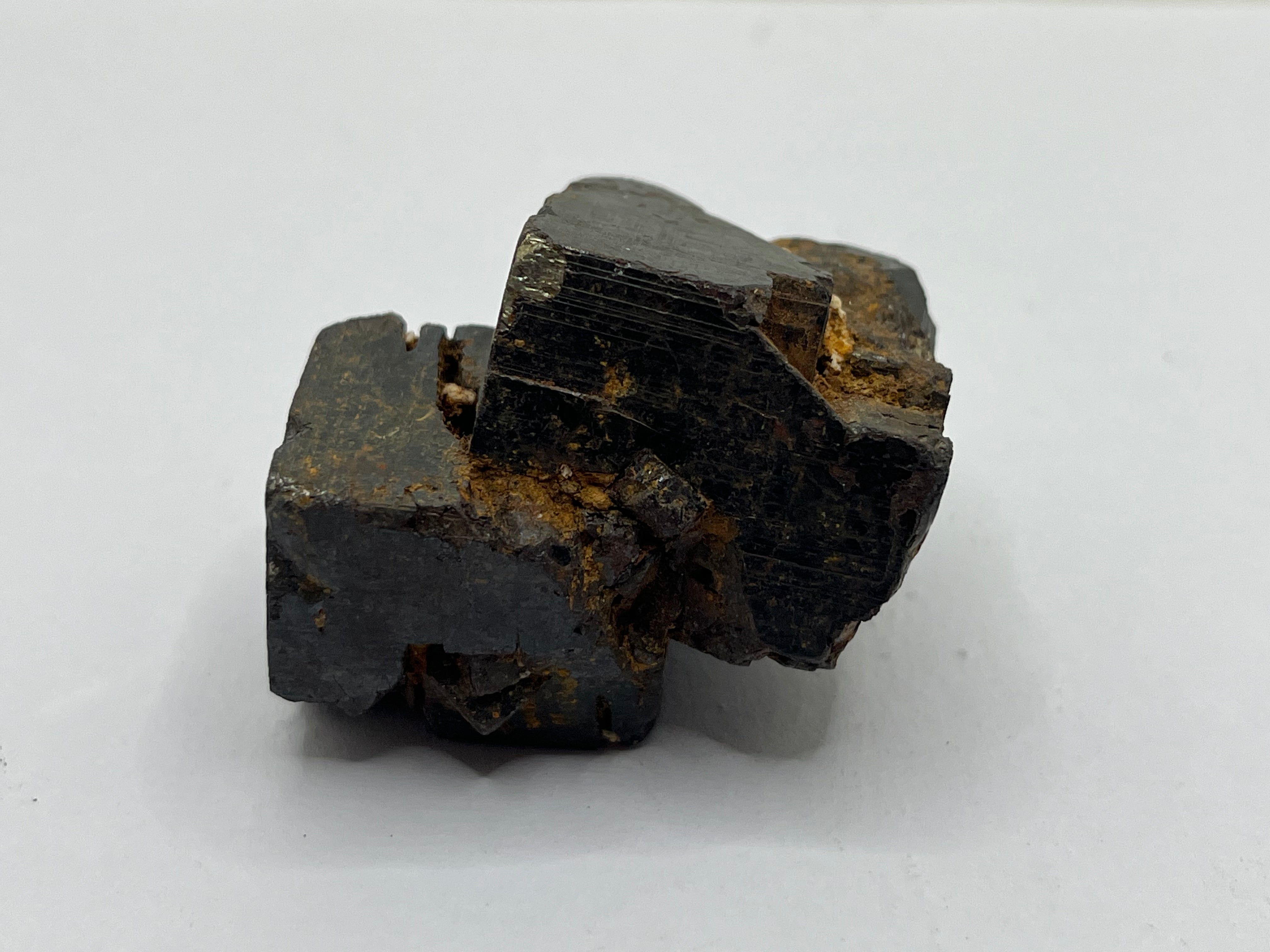 Limonitic pseudo-morph after pyrite – Crystal and fossils