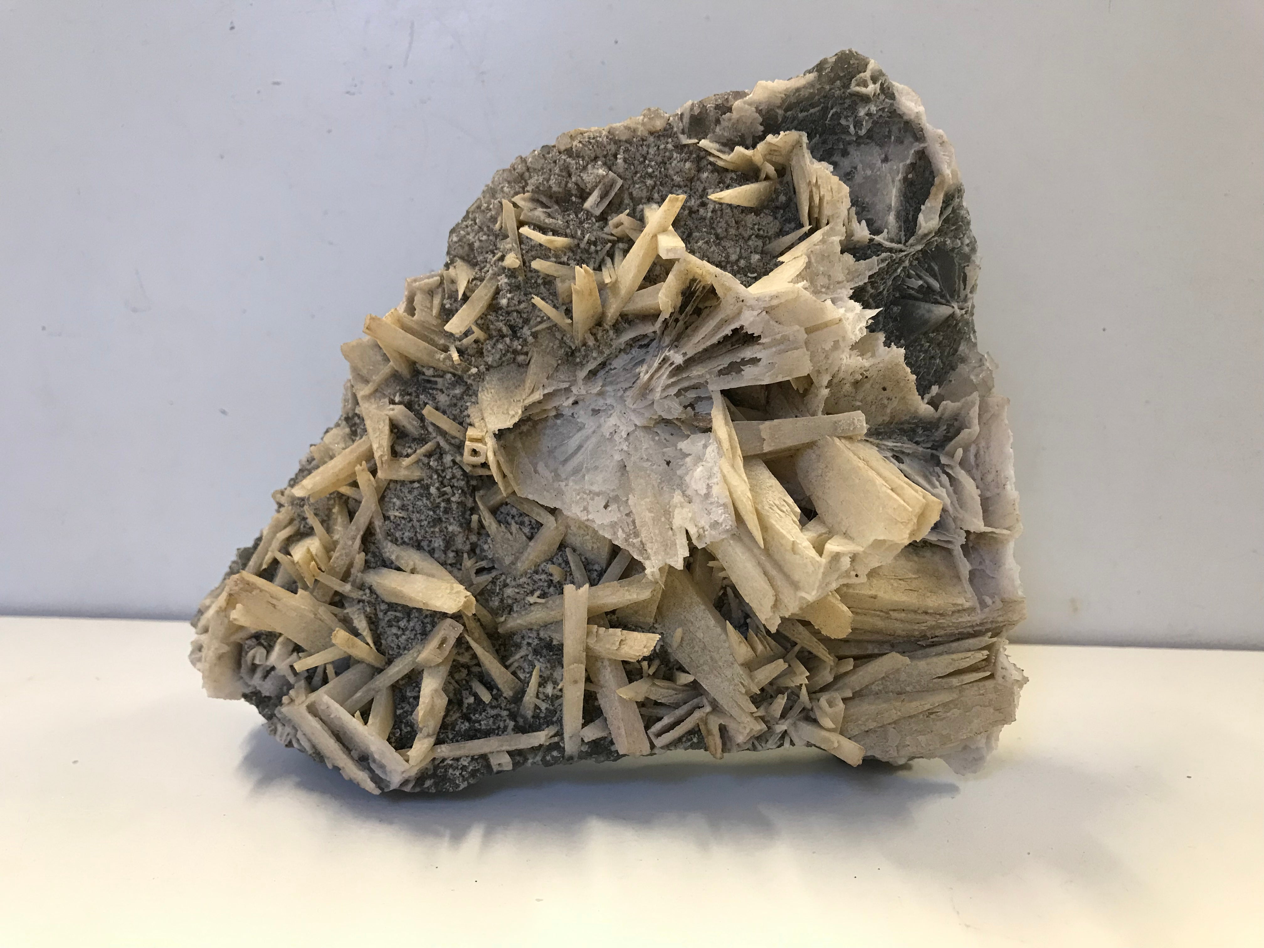 Gypsum – Crystal and fossils