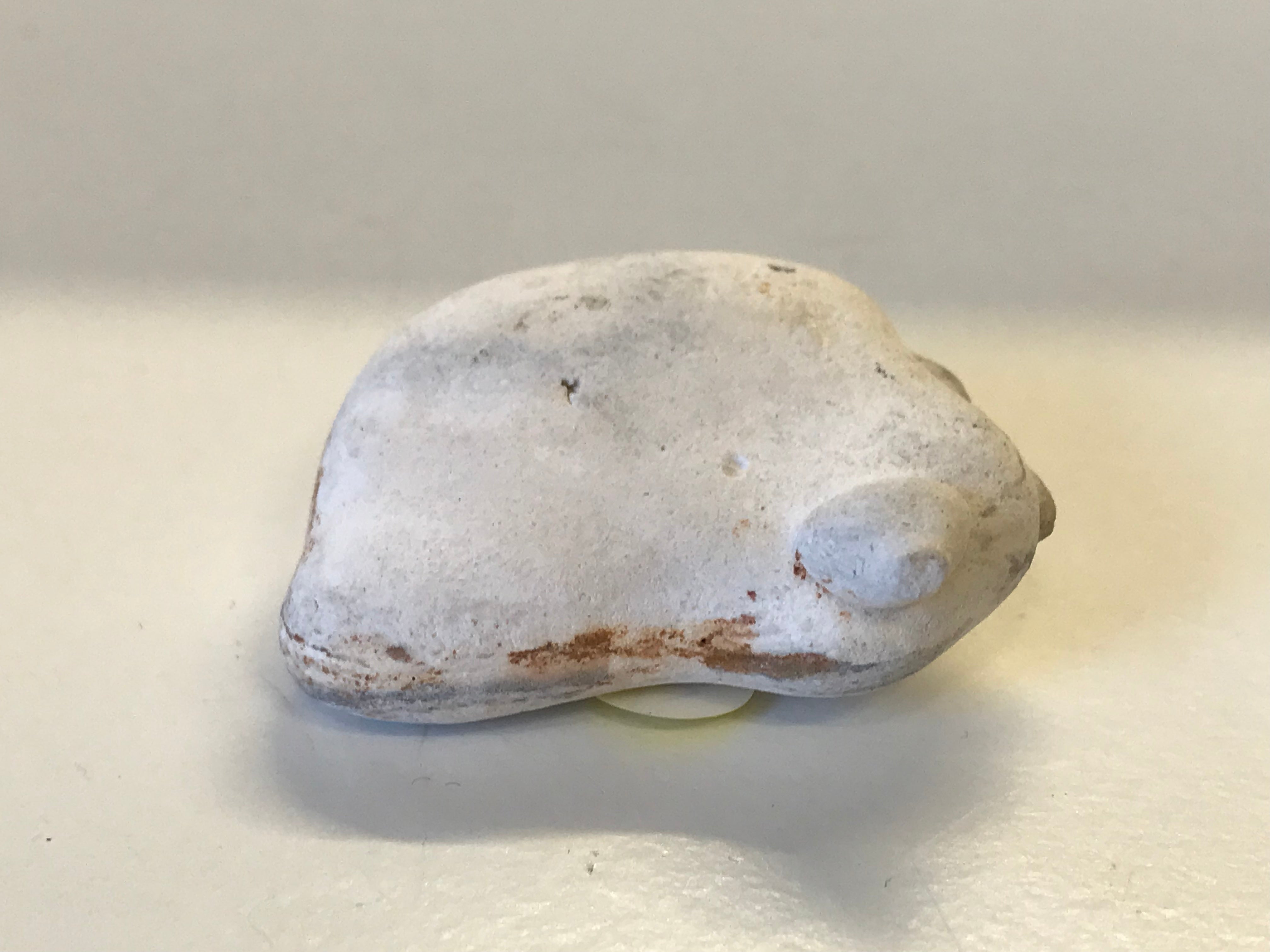 Menolite – Crystal and fossils