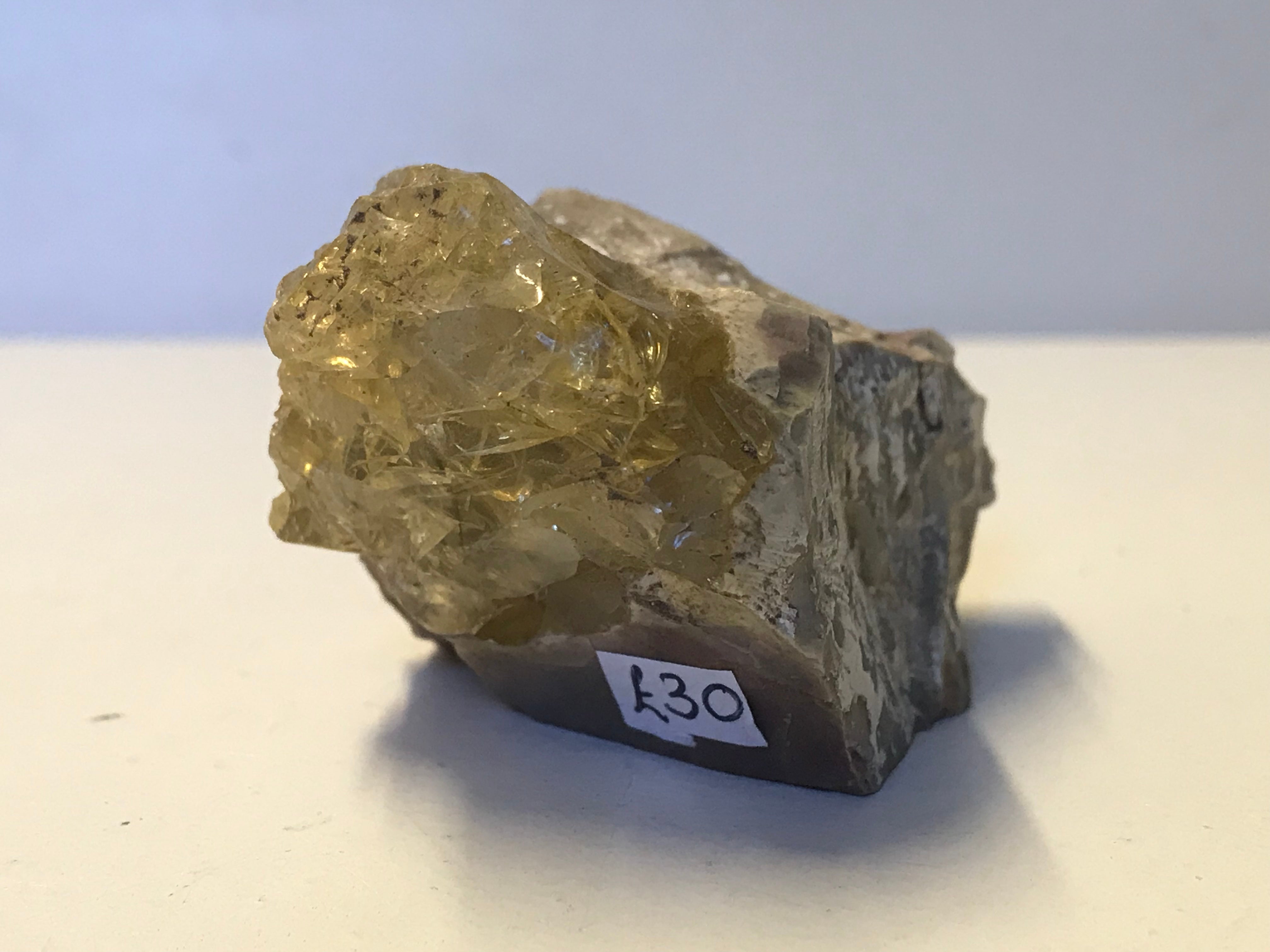 Butte opal – Crystal and fossils