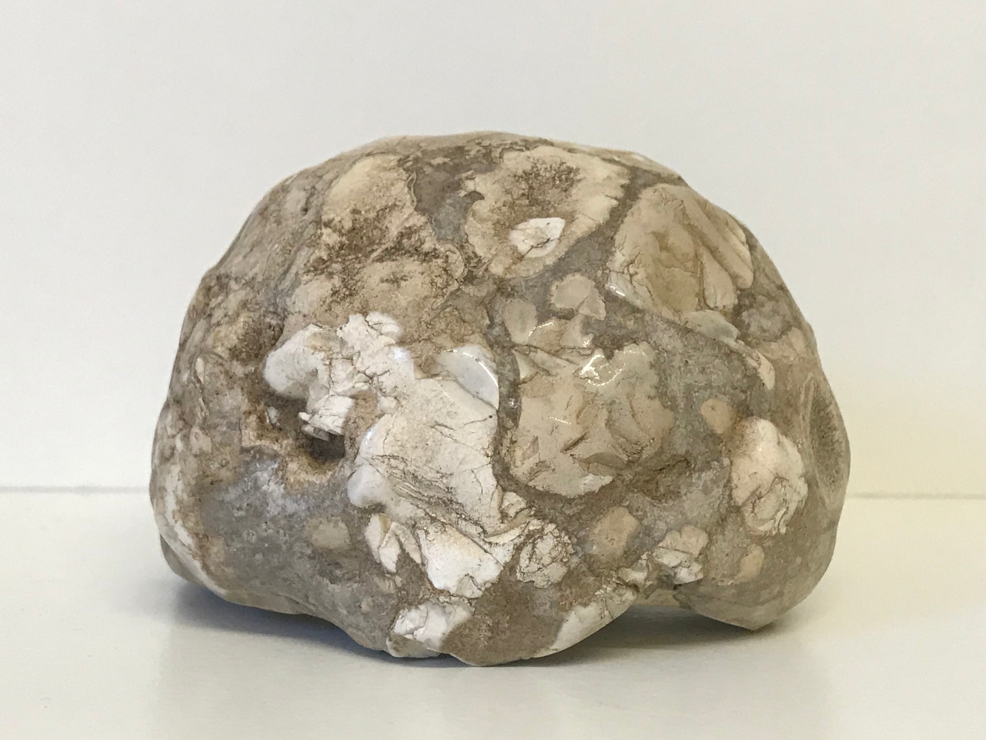 Pudding stone – Crystal and fossils