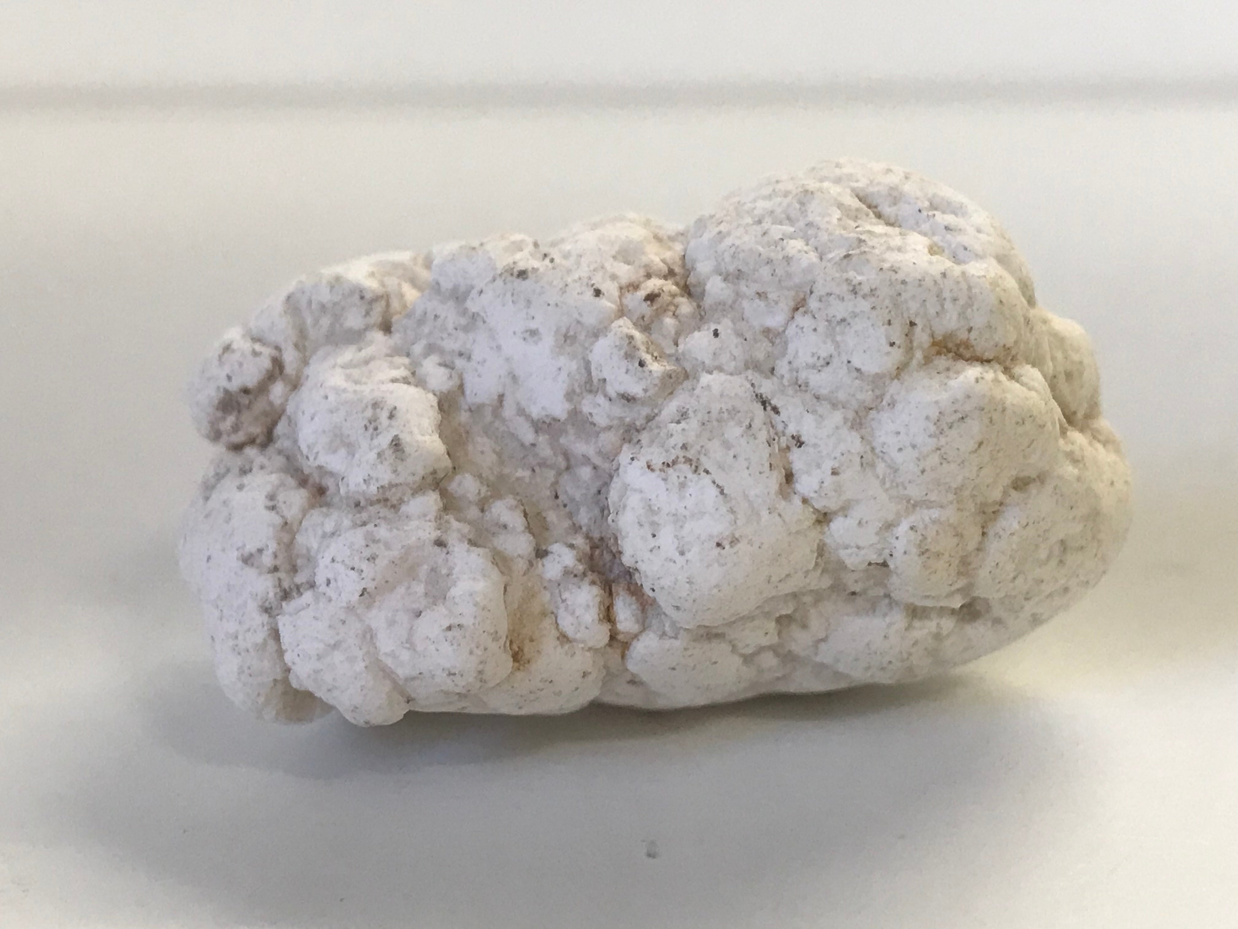 magnesite – Crystal and fossils