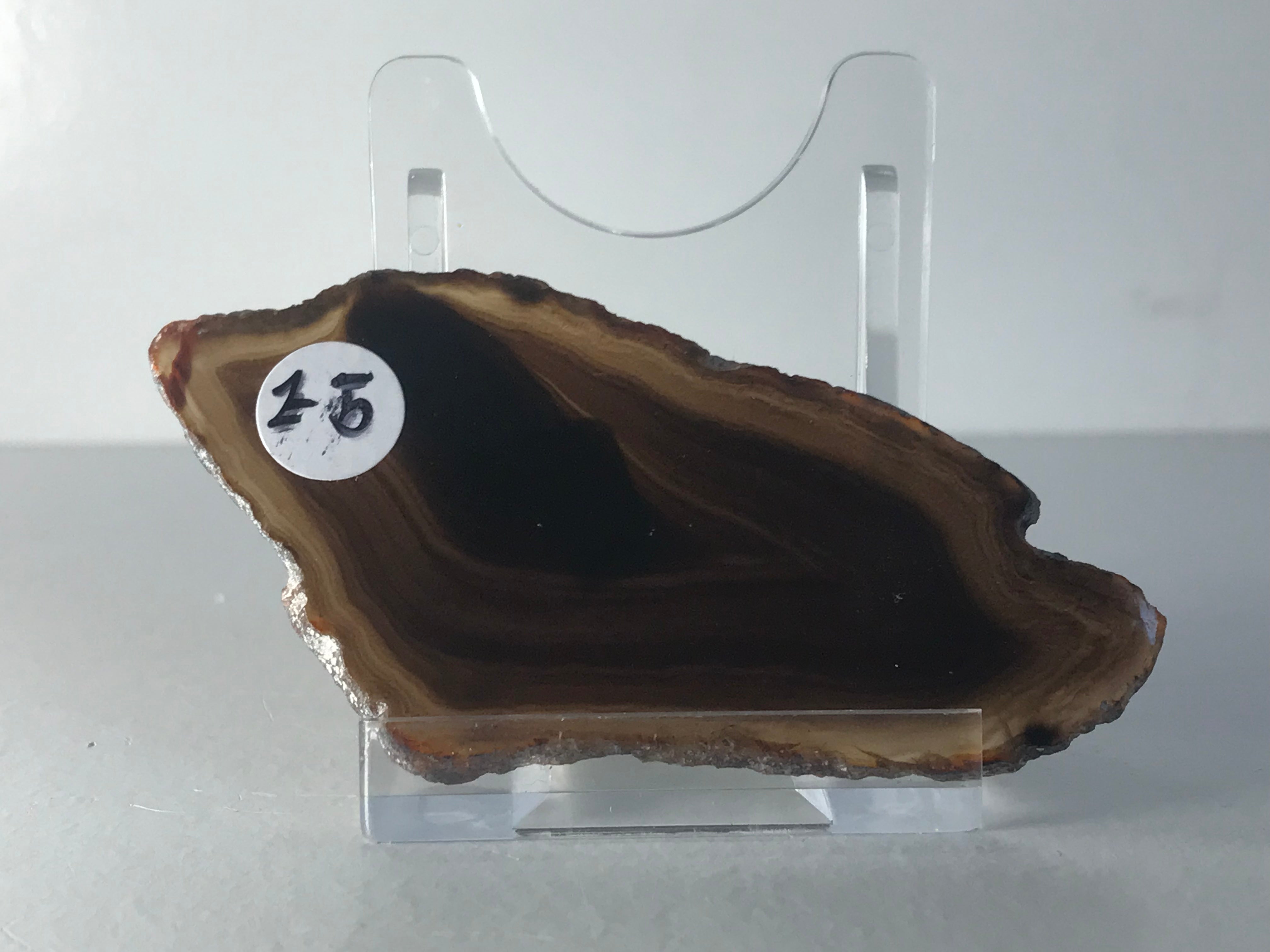 Brown dyed slice – Crystal and fossils