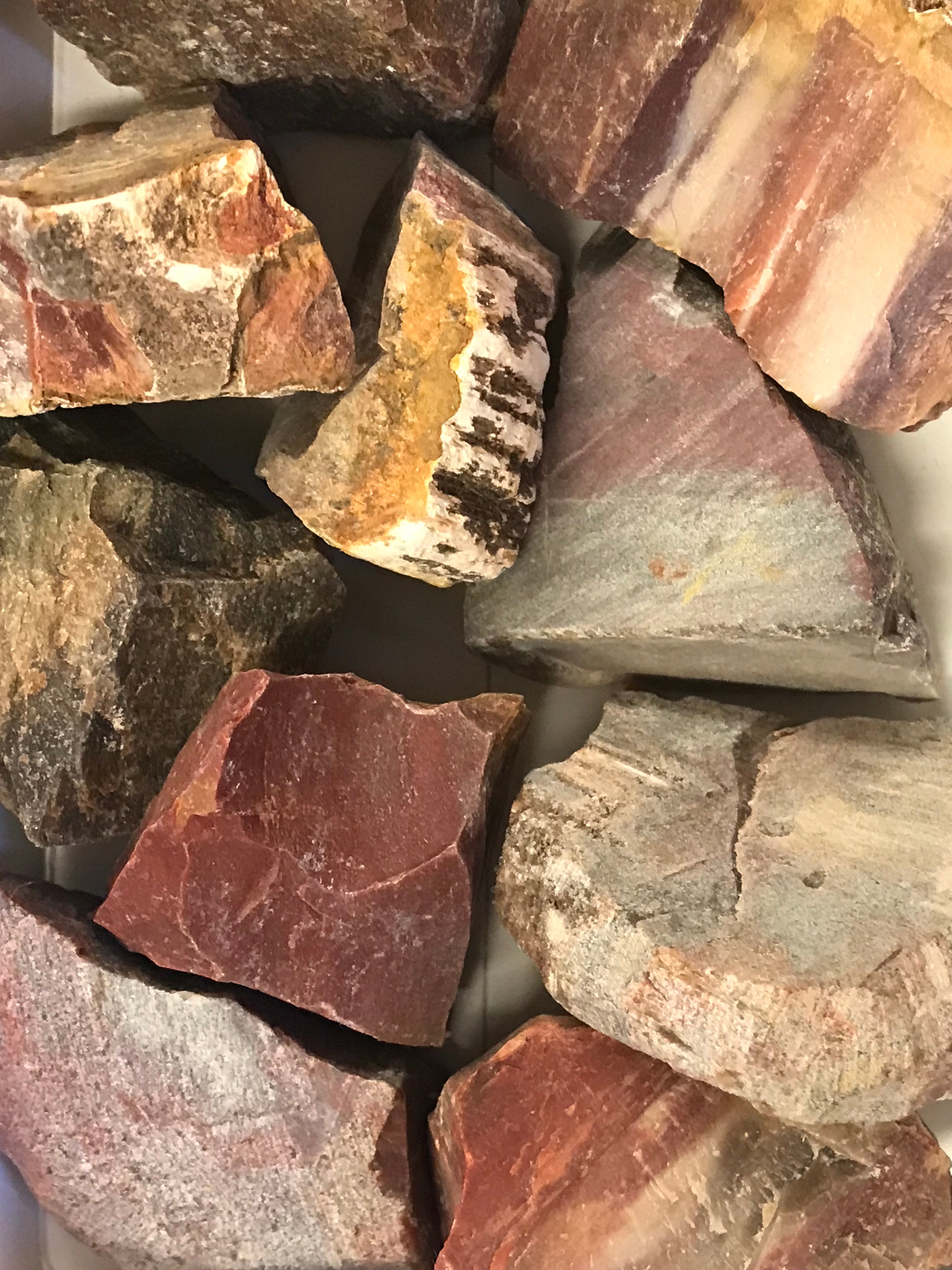Petrified wood – Crystal and fossils