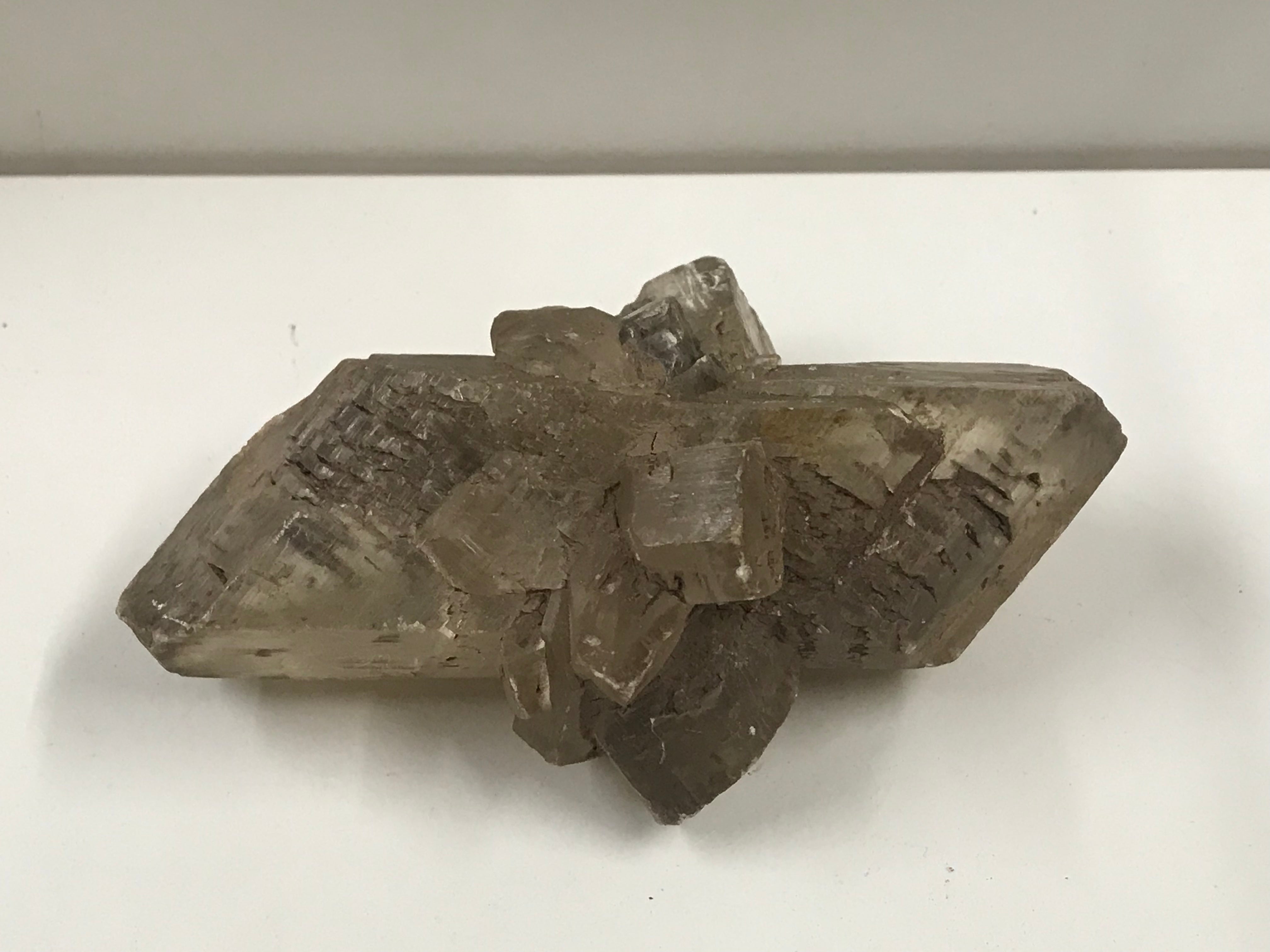 Gypsum – Crystal and fossils