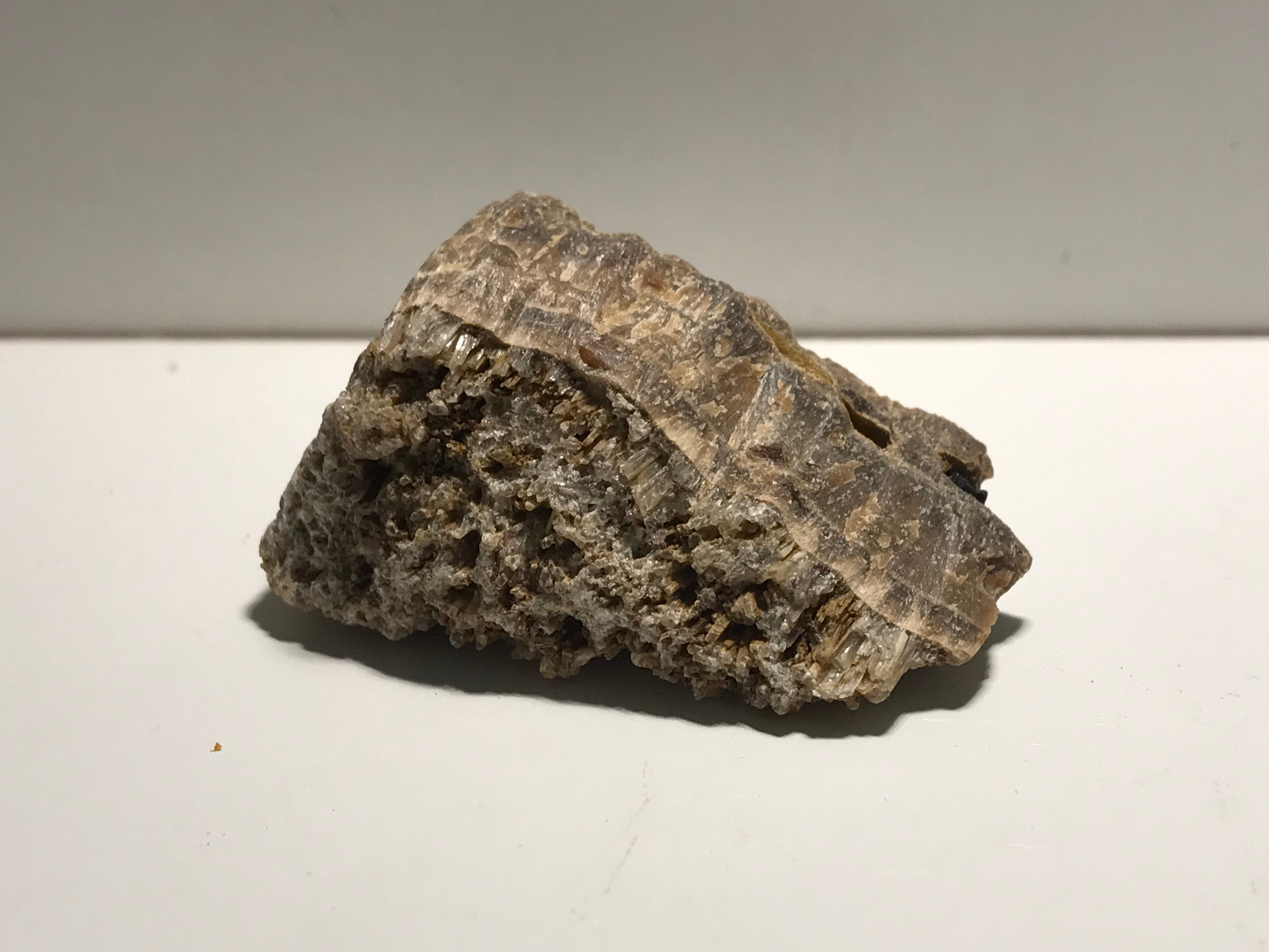 Oakstone – Crystal and fossils