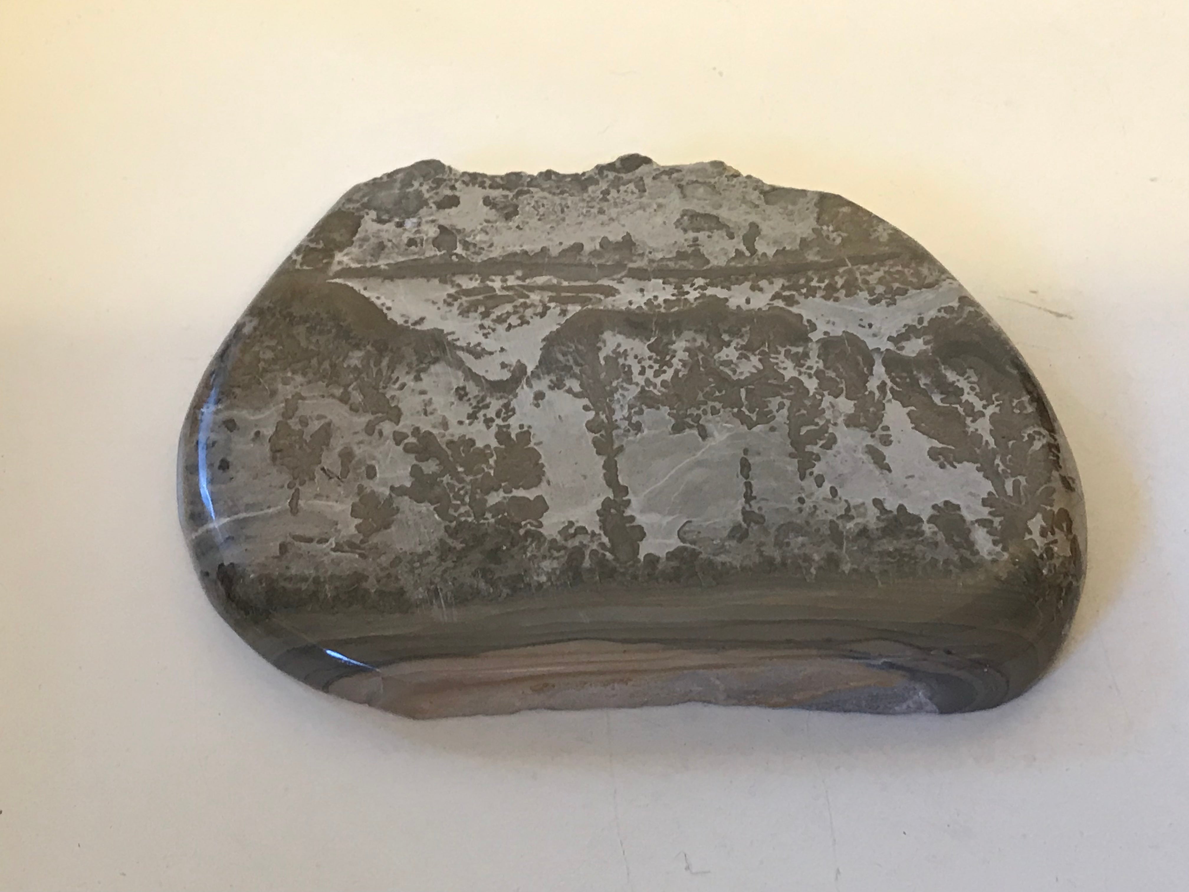 Stromatolites Cotham Marble – Crystal and fossils
