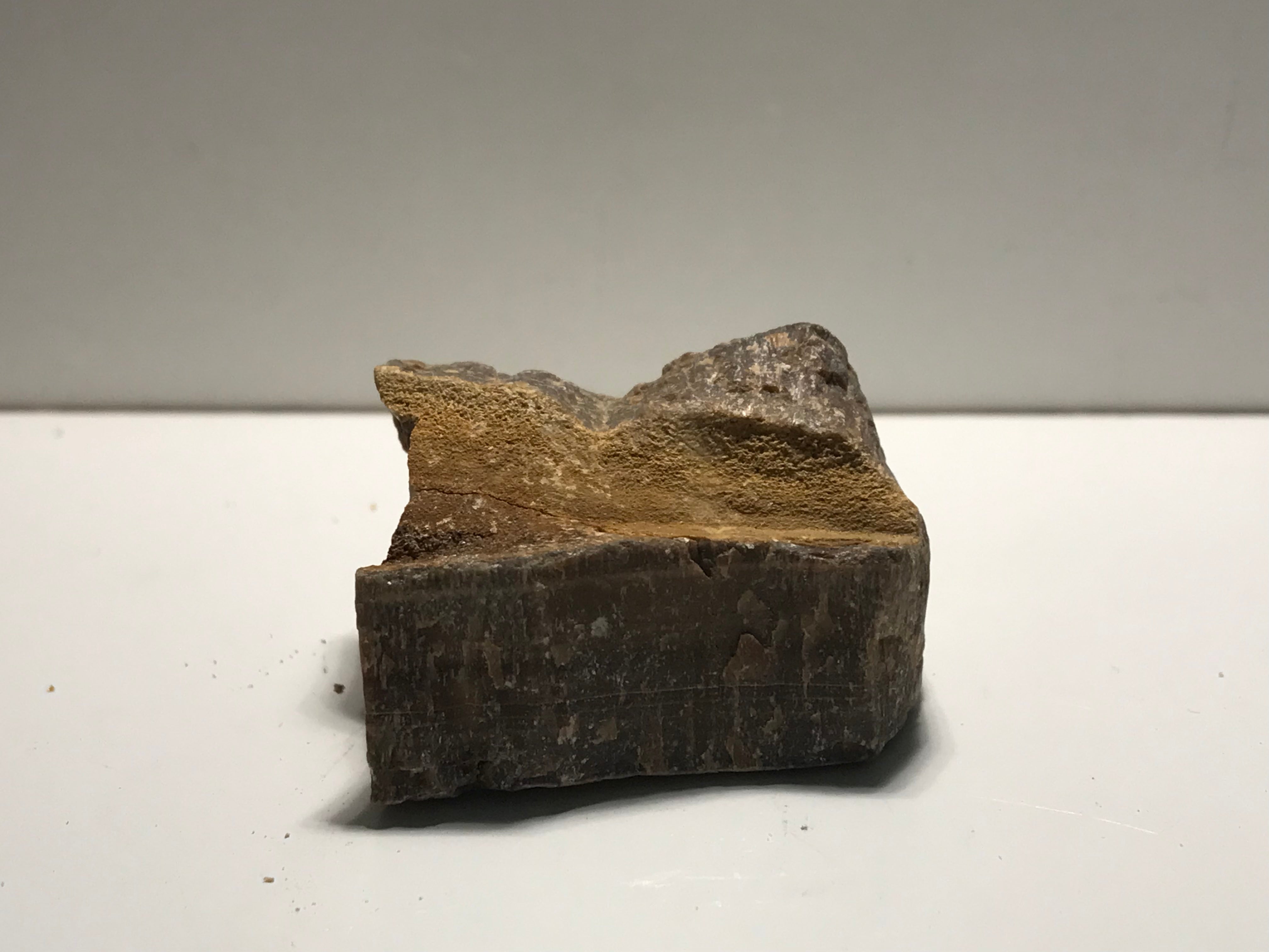 Oakstone – Crystal and fossils