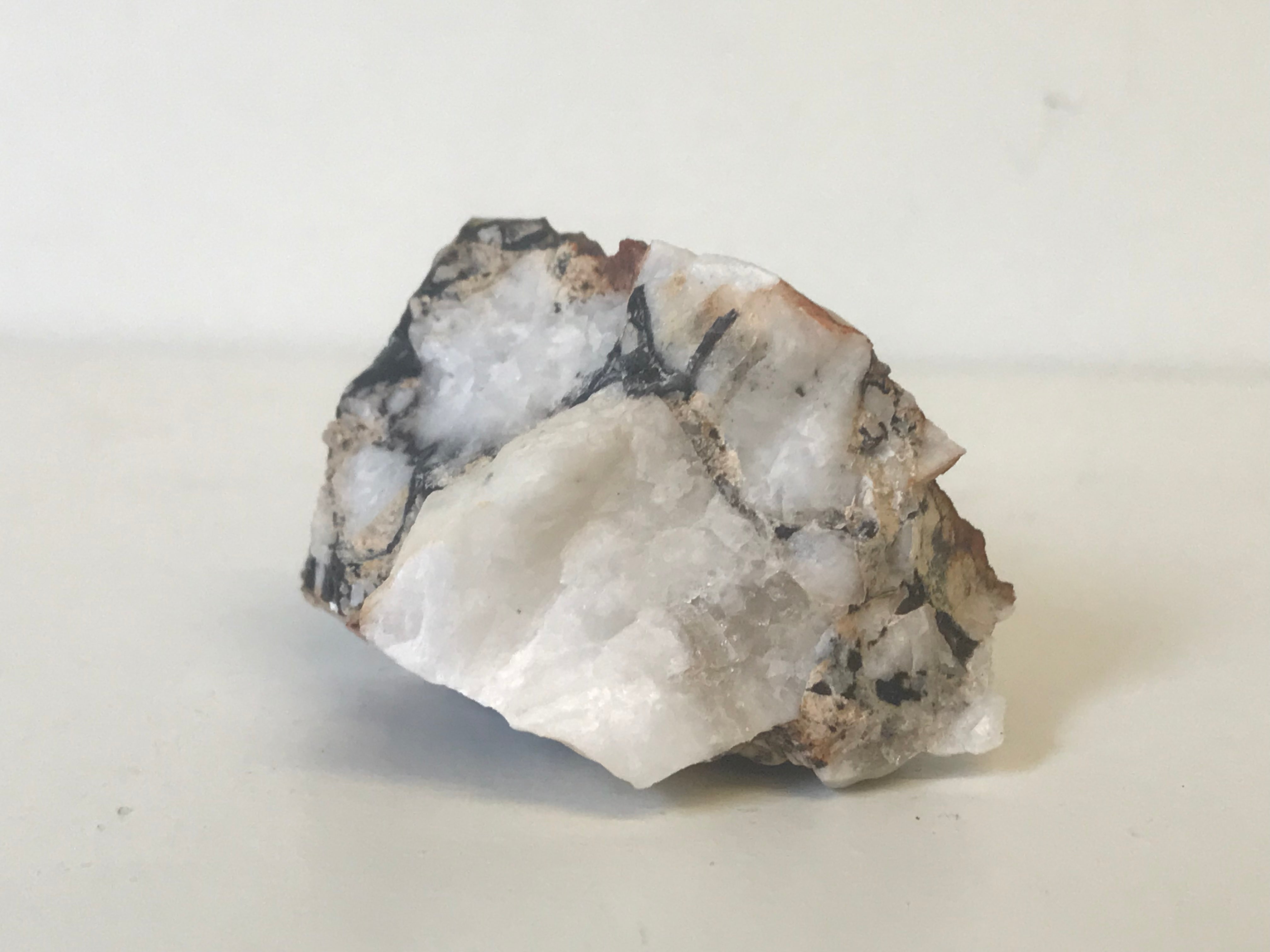 Cataclasite/cataclysmite – Crystal and fossils