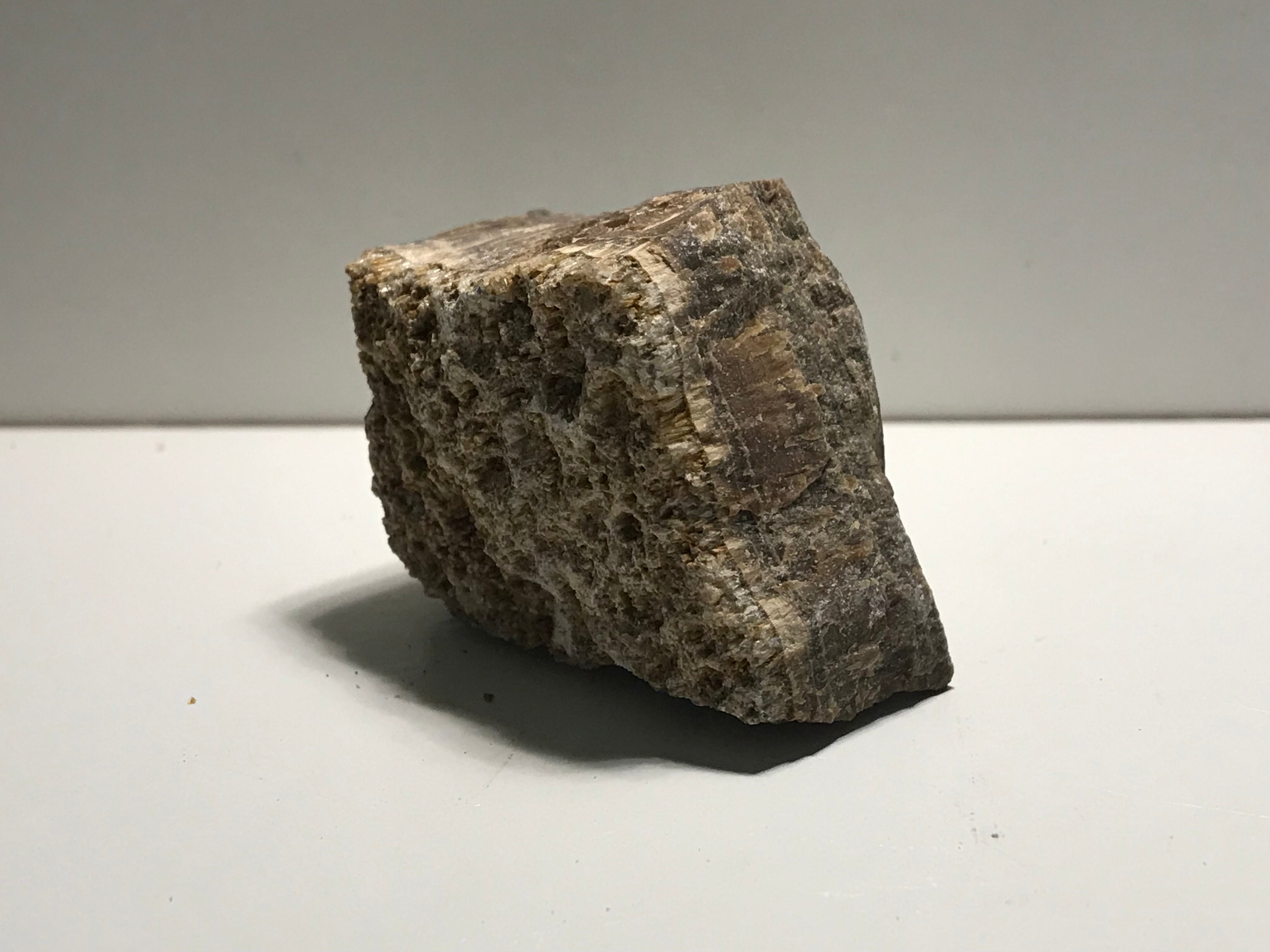 Oakstone – Crystal and fossils